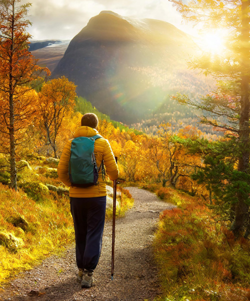 Håndlaget vandrestav i kastanje – den perfekte gave til turentusiasten - Strømmen Husflid AS